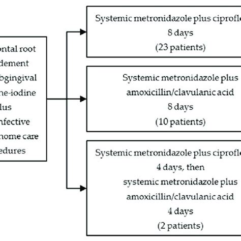 Flow Chart Of The Study Protocol Flow Chart Of The Study Protocol Download Scientific Diagram