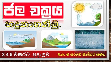 🌧ජල චක්‍රය හදුනාගනිමු💧 Youtube