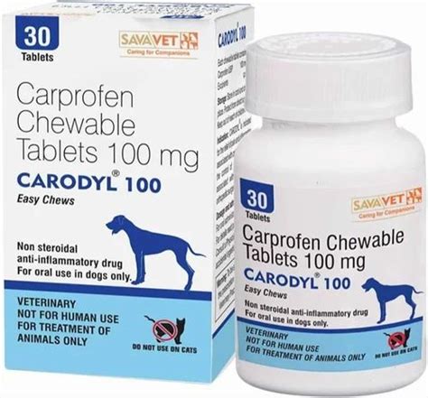 Carprofen Drugs 100 at best price in Nagpur by Shri Health Karts | ID ...