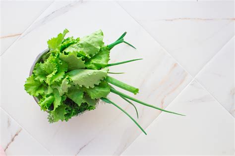 신선한 채소와 채소 밭 샐러드 딜 파슬리 양파를 흰색 대리석 테이블에 다리미컵에 넣고 복사 공간을 함께 섞는다 건강한 생활방식에 대한 스톡 사진 및 기타 이미지 Istock