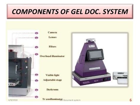Gel Document System