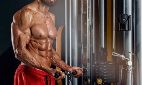 최고의 5가지 이두운동 종류 루틴 추천 근성장 연구소