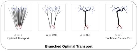 GitHub Sciai Lab BranchedOT