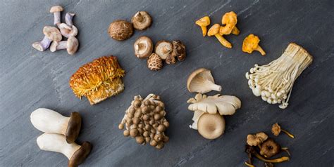 16 Common Types Of Mushrooms And How To Use Them In Recipes