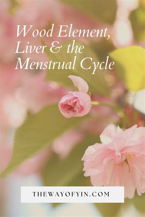 Gallbladder Chinese Medicine Artofit