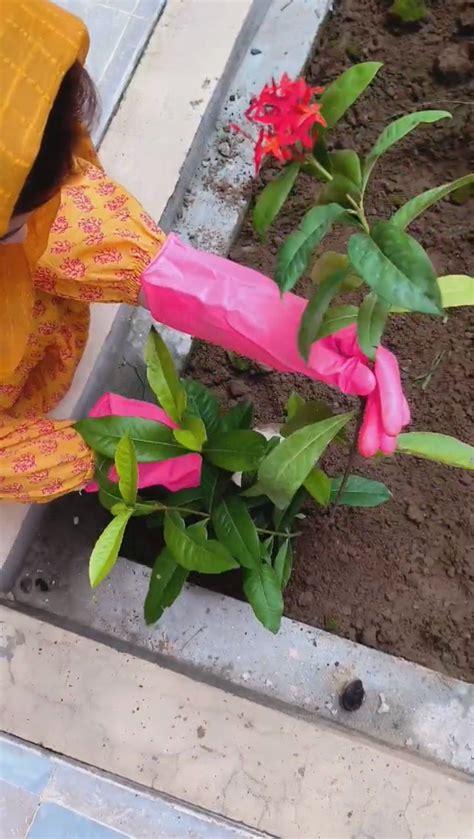 Kainat Gul On Linkedin 14august Pakistanzindabad Independenceday