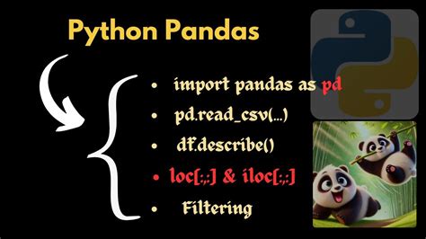 Master Pandas Essential Functions For Data Analysis Beginners Guide