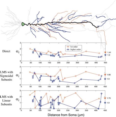 Neuron Projection Extension Involved In Neuron Projection Guidance