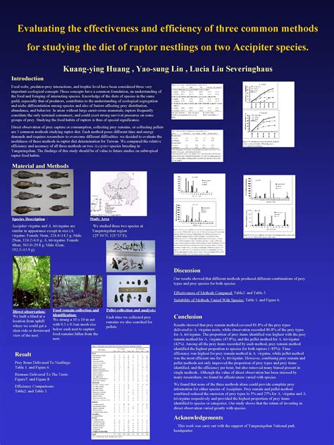 Evaluating The Effectiveness And Efficiency Of Three Common