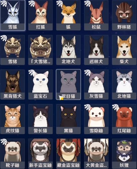 原神四方八方之网抓不了动物怎么回事原神四方八方之网抓不了动物解决方法 百战电竞 百战网