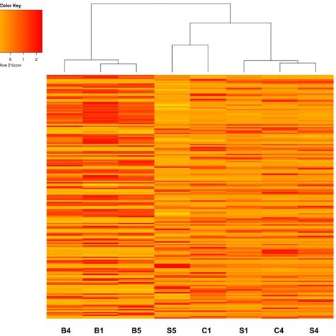 Heat Map Analysis Of Mirnas More Abundant In Biopsies Showing The Download Scientific Diagram