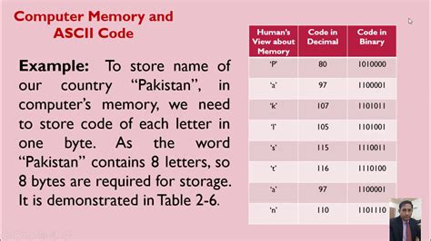 Class 9 Computer Chapter 2 Lecture 13 Storage Devices And Db Memory And Storage Naeem Ul Haq