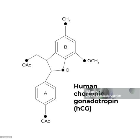 Vector Hormones Minimalistic Banner Template Hcg Structure Black