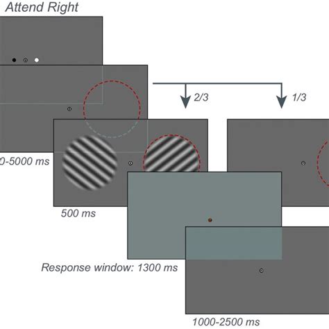 Stimuli And Experimental Procedure Example Of A Trial Sequence From