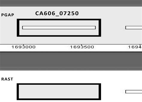 A Mauve Alignment Snapshot Depicting A Representative Annotation Download Scientific Diagram