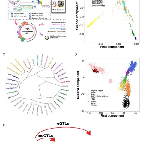 Statistical Summary Of Eqtl And Meqtl Analysis Download Scientific Diagram