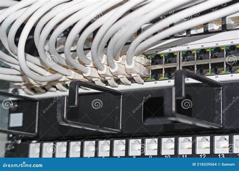 UTP Cat5e Cable With Patch Panel Stock Photo Image Of Business Server 218329564