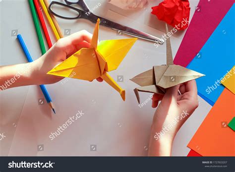 8113 종이접기 게 이미지 스톡 사진 및 벡터 Shutterstock