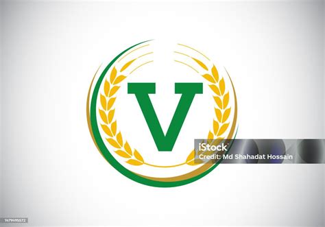 밀 귀 화환이 있는 첫 글자 V 기호 기호 유기농 밀 로고 디자인 개념 농업 로고 디자인 벡터 템플릿입니다 개념에 대한 스톡 벡터 아트 및 기타 이미지 Istock
