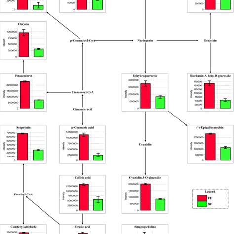 Metabolic Pathways Of The Differentially Accumulated Metabolites Download Scientific Diagram