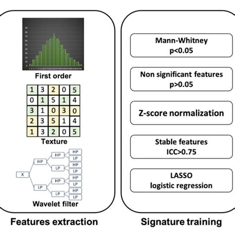 Radiomic Analysis Of Prostate Cancer Image Segmentation Prostate Download Scientific Diagram