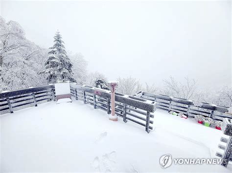 폭설이 빚은 한계령 설경 연합뉴스