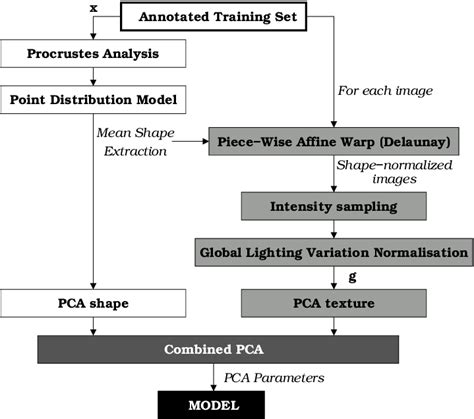 Building An Active Appearance Model Download Scientific Diagram