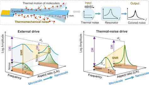 热噪声驱动谐振传感器 Microsystems And Nanoengineering X Mol