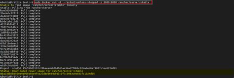 How To Install Rancher On Ubuntu 20 04 Real Time Cloud Services Llc