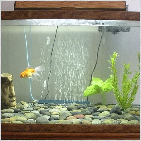 ปลาสวยงาม บ้านโป่ง ราชบุรี