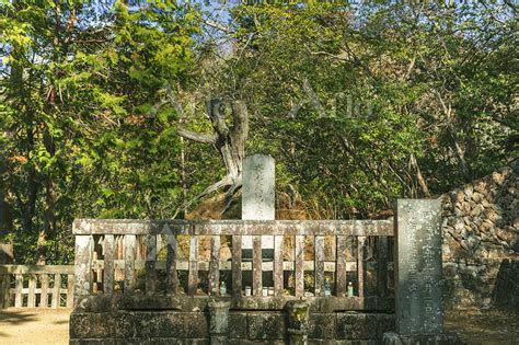吉田郡山城跡の毛利隆元墓所 広島県 248657099 の写真素材 アフロ