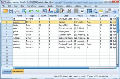 Variable View Spss Statistics Basic Graphing