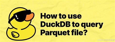 Golang：使用duckdb查询parquet文件数据duckdbparquet Csdn博客