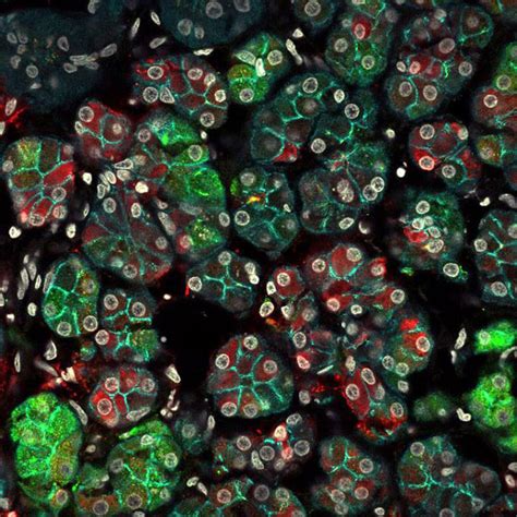 Cool Jobs Saliva Offers A Spitting Image Of Our Health