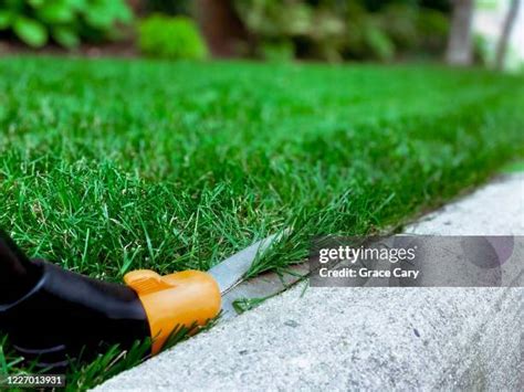Cut Lawn Edge Photos And Premium High Res Pictures Getty Images