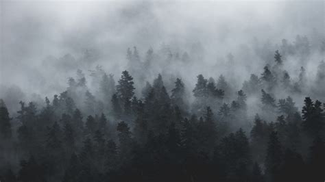 HTMX With Flask Bulma Modals