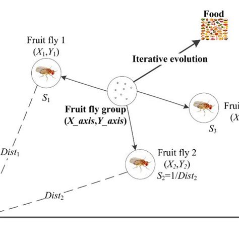 Graphical Presentation Of Foraging Behavior Of A Fruit Fly Swarm