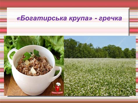 Презентація "Сільскогосподарські рослини"