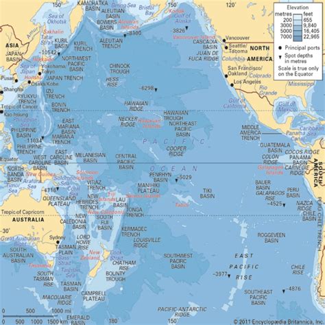 Bottom Topography Of Pacific Ocean Clearias