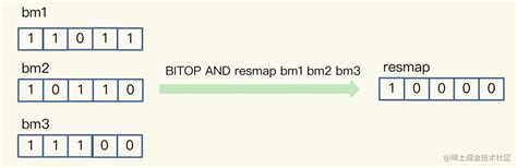 海量数据情况下，怎么用bitmap进行签到统计？在 Web 和移动应用的业务场景中，我们经常需要保存这样一种信息：统计用 掘金