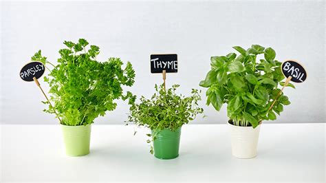 Data Annotation Explained Deelab