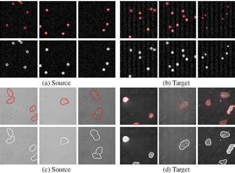 Figure 1 From A Min Max Based Hyperparameter Estimation For Domain Adapted Segmentation Of