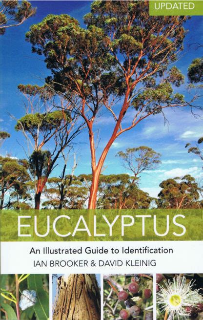 Eucalyptus An Illustrated Guide To Identification Treelogic Tools