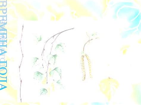 Фон для презентации на тему Времена года презентация