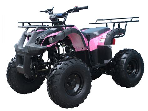 125cc Taotao T Force Atv Goodwins Extreme Motor Sports