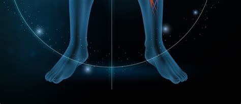 Mihai Zelihowski Human Body Morphogenetic Fields