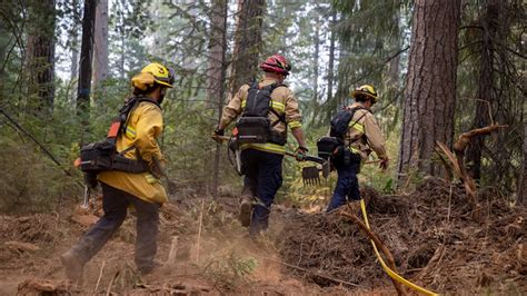 САД Евакуирани над 11 000 лица поради шумските пожари во Калифорнија