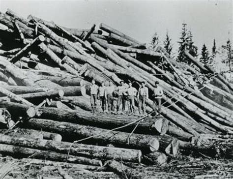 From The Archives Historic Logging Photos WA Secretary Of State