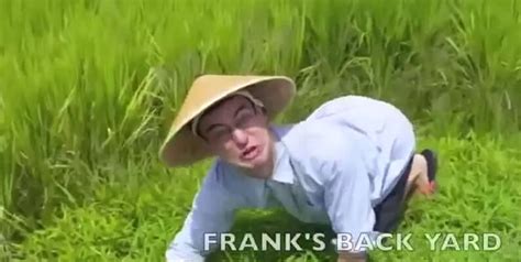 Welcome To The Rice Fields Object Detection Kaggle