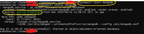 mongodb remote connection setup process and configurations